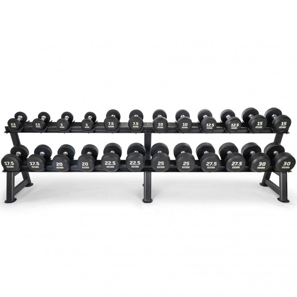 Strength Training Weights RitFit 30LB Dumbbell Set (2 Pack) - Rubber ...