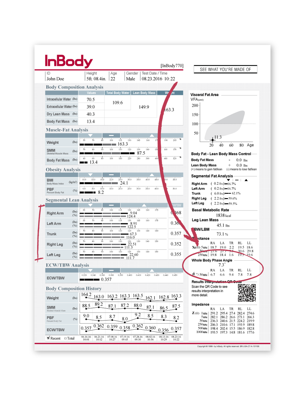 InBody 770 Body Composition Analyser Package — Best Gym Equipment