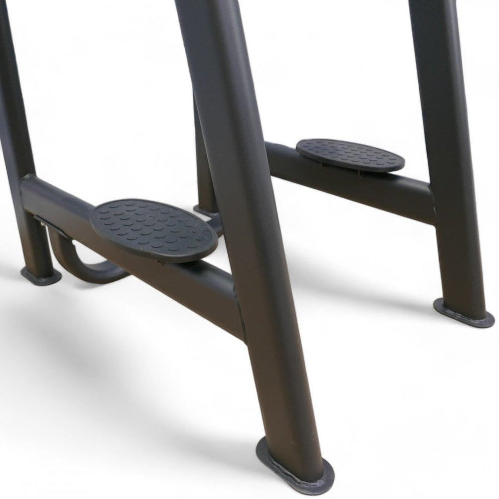 Future Commercial Vertical Knee Raise / Chin Dip Frame — Best Gym Equipment