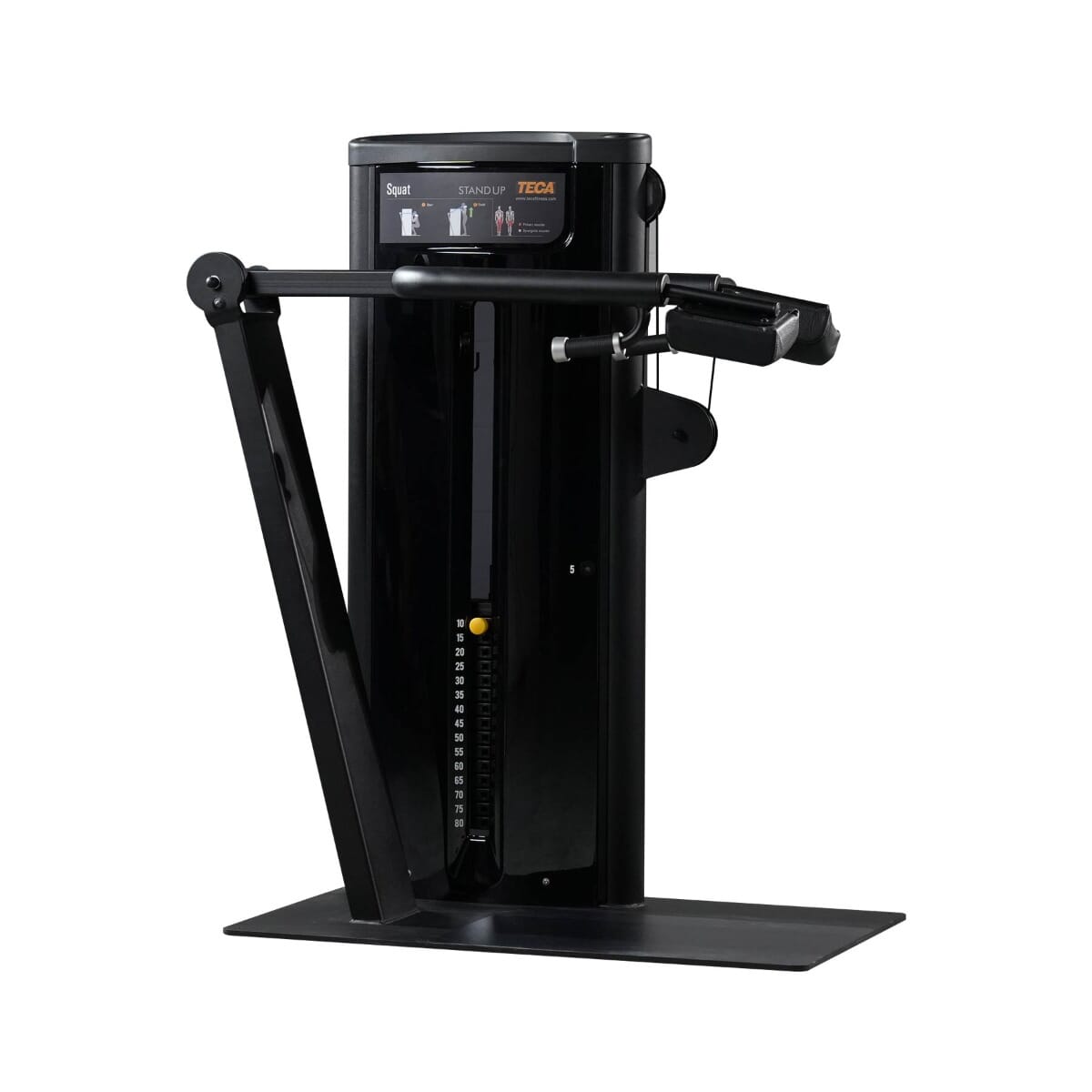 TECA Stand Up Squat Machine — Best Gym Equipment