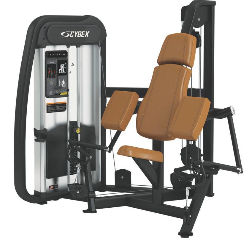 Cybex Eagle NX Arm Curl Selectorised — Best Gym Equipment
