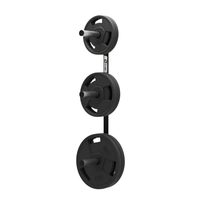 Exigo 3 Horn Wall Plate Storage — Best Gym Equipment