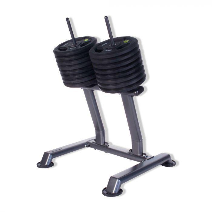 Physical Company Vertical Disc Rack — Best Gym Equipment